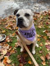 The Pike County Courier | The local newspaper for Milford, PA