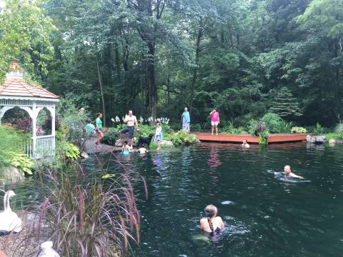 ‘Swim with the Fish’ pond tour set for June 21