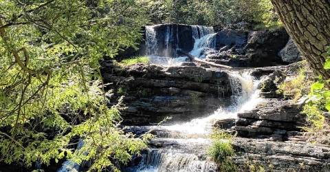Childs Park set to reopen Oct. 2