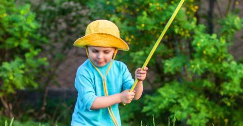 Kids invited to join 'Insect Safari'