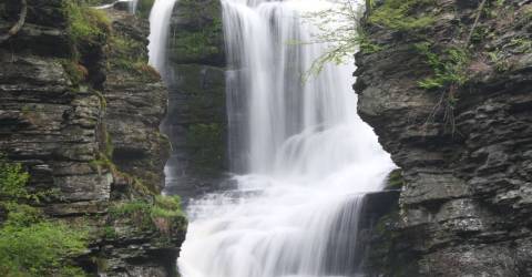 Childs Park reopens with new trails, amenities