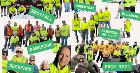 Litter Sweep draws more than 450 volunteers