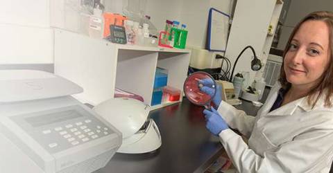 Lab will provide free tick testing to all Pennsylvania residents